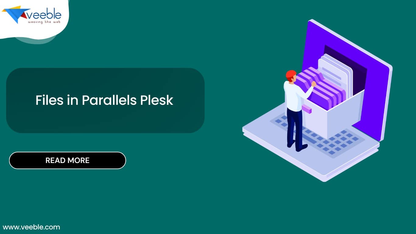 Files in Parallels Plesk - Veeble Knowledge Base