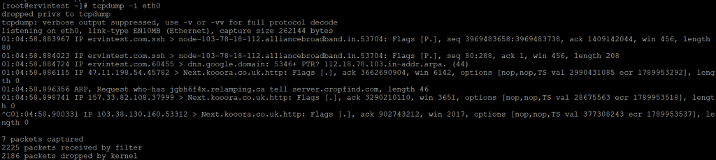 15 Basic Linux Network Commands for Newbies - Veeble Hosting