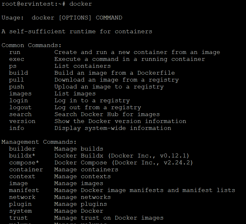 How to Install And Use Docker on Ubuntu - Veeble Hosting
