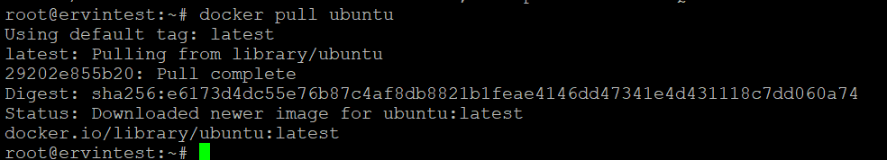 How to Install And Use Docker on Ubuntu - Veeble Hosting