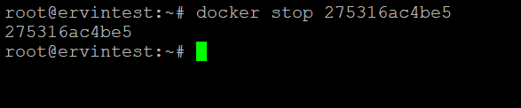 How to Install And Use Docker on Ubuntu - Veeble Hosting