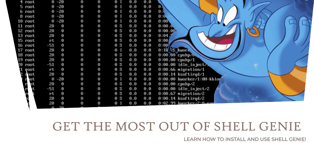 Get ChatGPT Assist in Linux Terminal with Shell Genie AI - Veeble Hosting