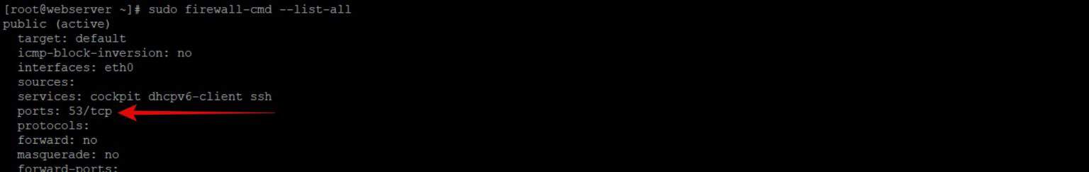 How to Fix 'Temporary Failure in Name Resolution' DNS Error - Veeble ...