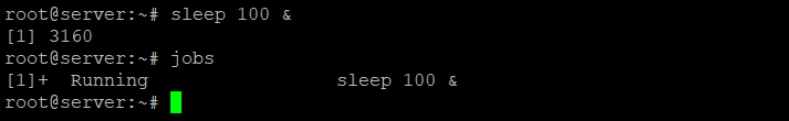 How to Run a Linux Command in the Background using '&' - Veeble Hosting