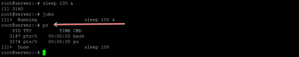 How to Run a Linux Command in the Background using '&' - Veeble Hosting