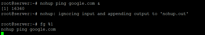 What is nohup Command and How to Use it? - Veeble Hosting