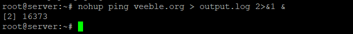 What Is Nohup Command And How To Use It Veeble Hosting