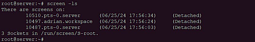 Linux Screen Command: Installation, Usage, Examples - Veeble Hosting