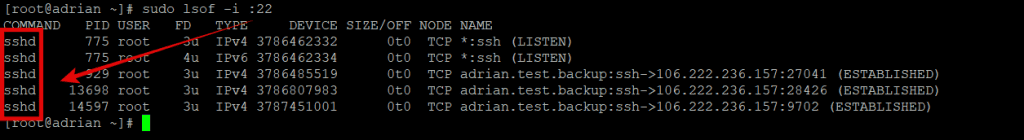 How to Open a Specific Port on Linux - Veeble Hosting