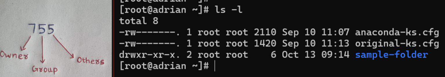 What do CHMOD 755, 644, and Others Mean? - Veeble Hosting