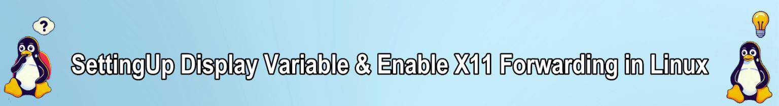 How To Set Display Variable And Enable X11 Forwarding In Linux Veeble 5867