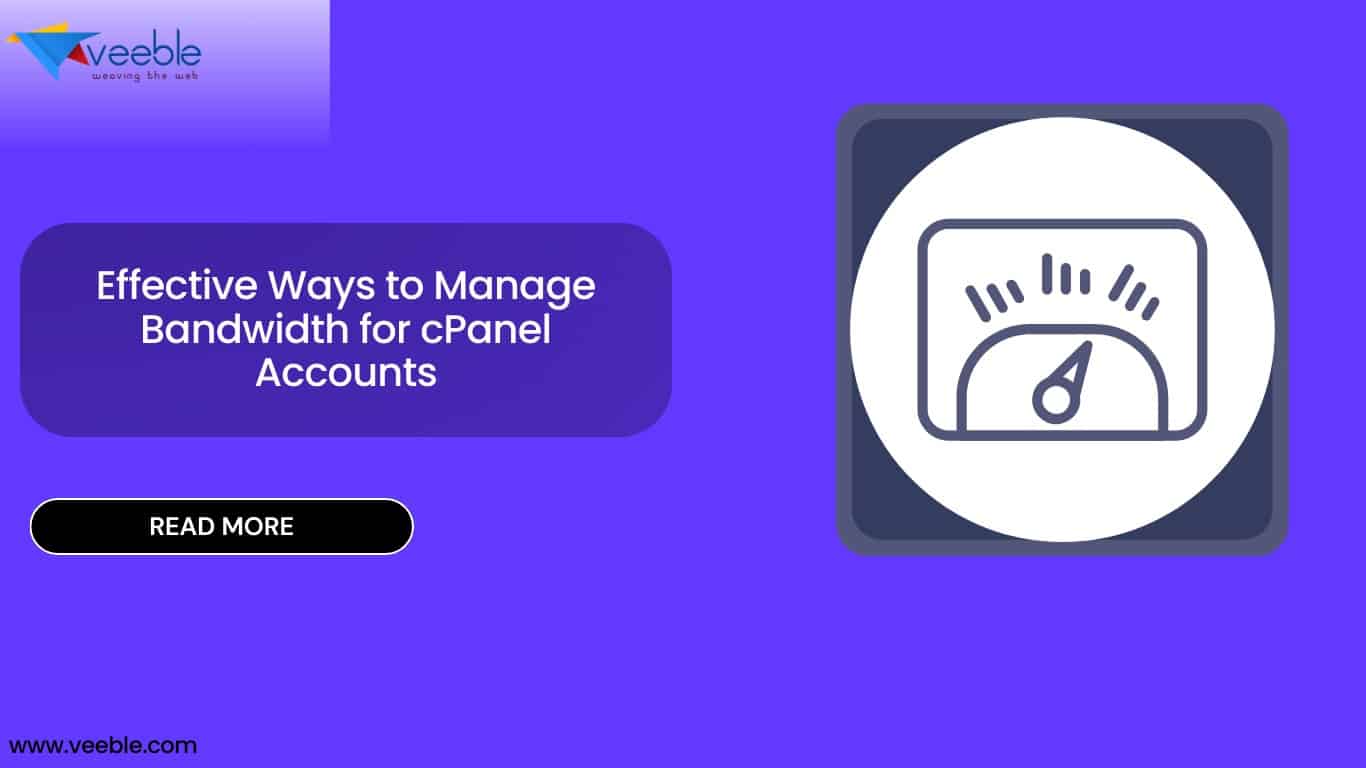 Effective Ways to Manage Bandwidth for cPanel Accounts - Veeble Hosting